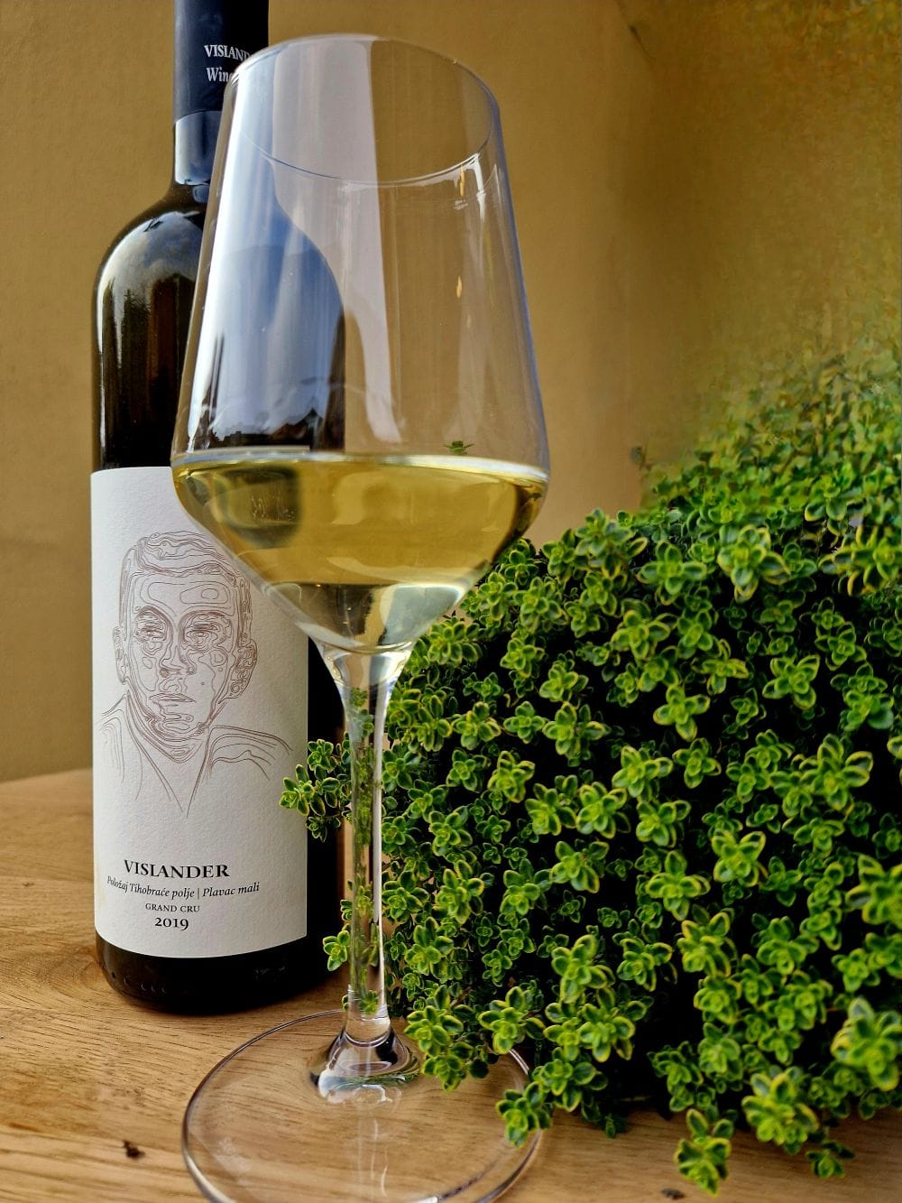 Mirisi i okusi otoka Visa oduševili zagrebačke ljubitelje vina ...